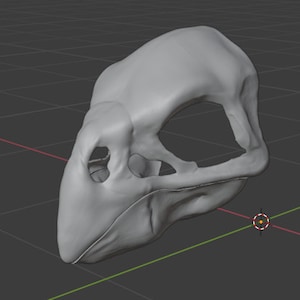 Finch Skull Mask STL Files - Etsy