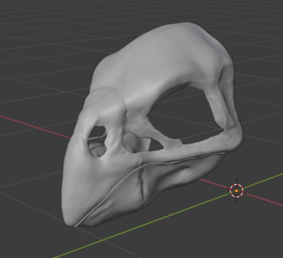 Finch Skull Mask STL Files - Etsy