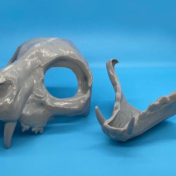 Skull Dog Mask - Etsy