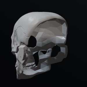 Human Skull Mask .STL Files for 3D Printing - Etsy Australia