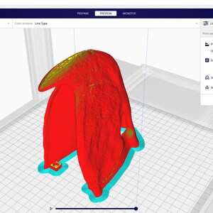 Terror Bird Skull Mask .stl Files for 3D Printing - Etsy Australia