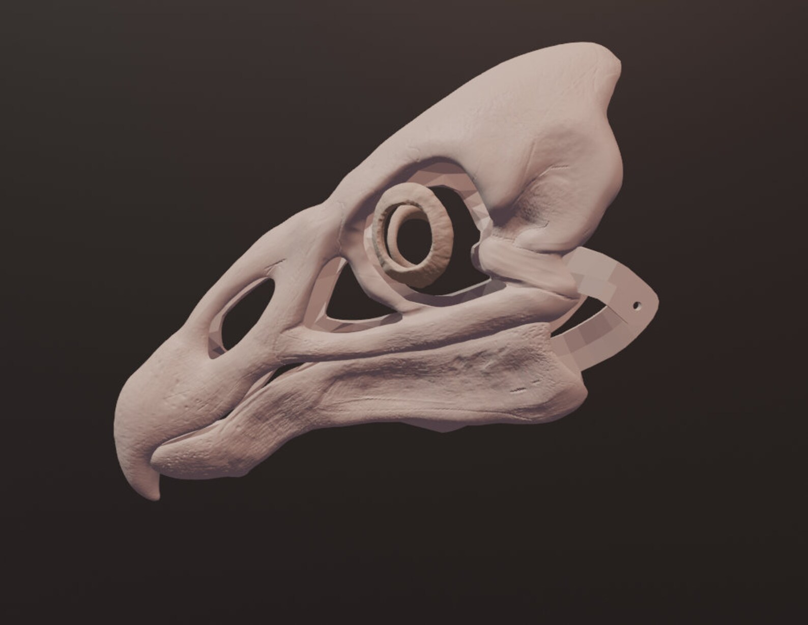 Condor Skull Mask .STL Files for 3D Printing - Etsy