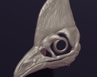 Owl Skull Mask .STL Files for 3D Printing - Etsy