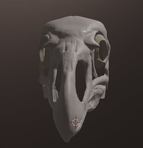 New World Vulture Skull Mask .STL files for 3D printing | Etsy