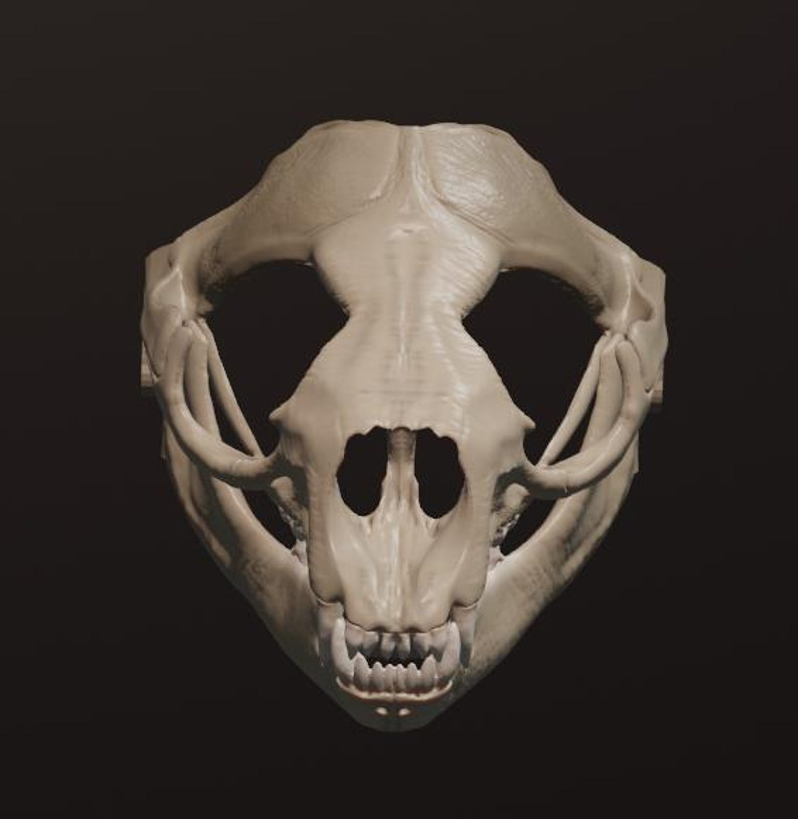 Leopard Seal Skull Mask .STL Files for 3D Printing - Etsy