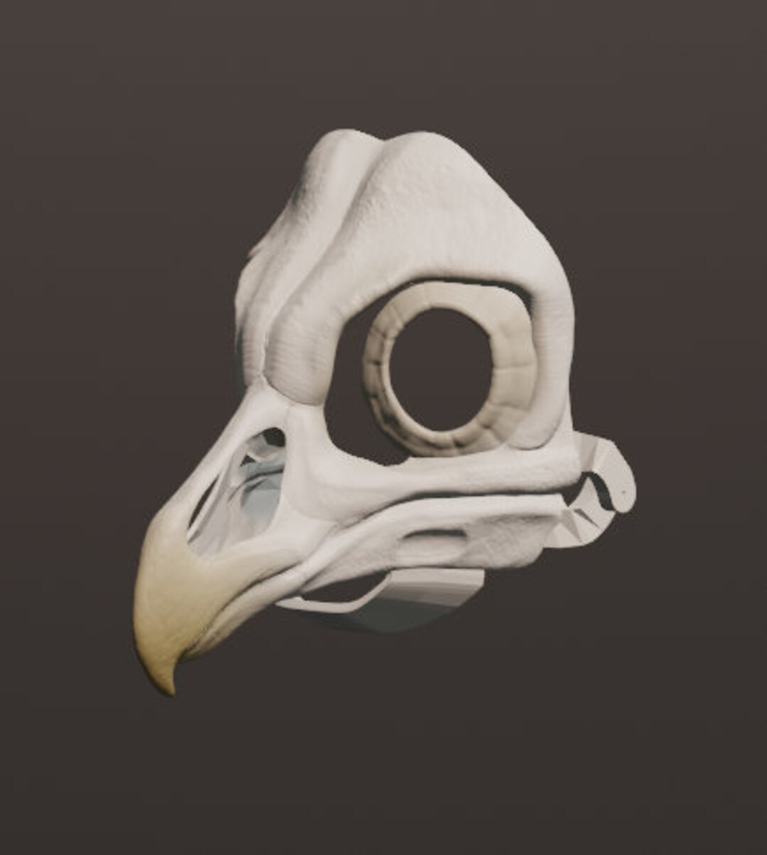 Barn Owl Skull Mask .STL Files for 3D Printing - Etsy