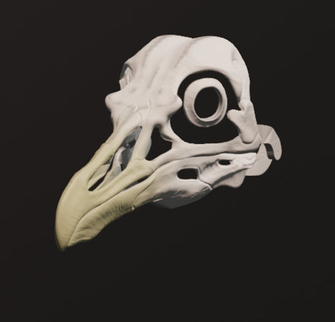 Seagull Skull Mask .STL Files for 3D Printing - Etsy