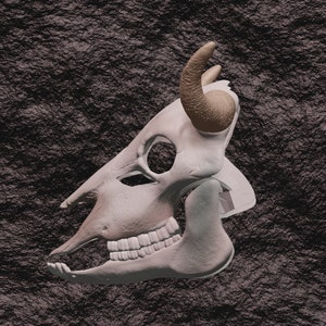 Bison Skull Mask .STL Files for 3D Printing - Etsy Australia
