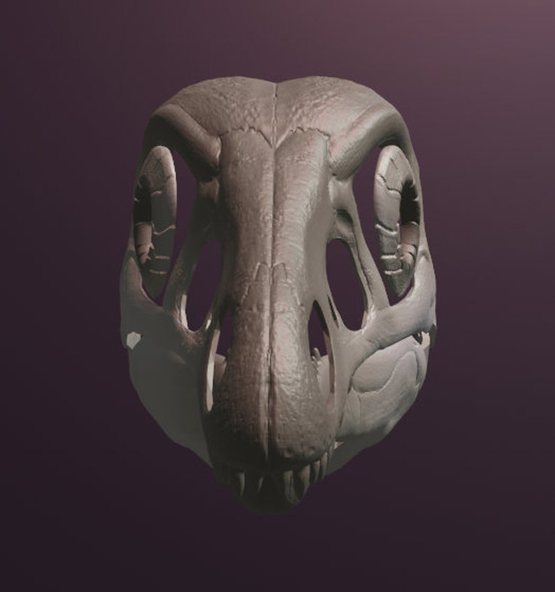 Archaeopteryx Skull Mask .STL Files for 3D Printing - Etsy