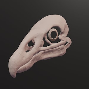 Condor Skull Mask .STL Files for 3D Printing - Etsy