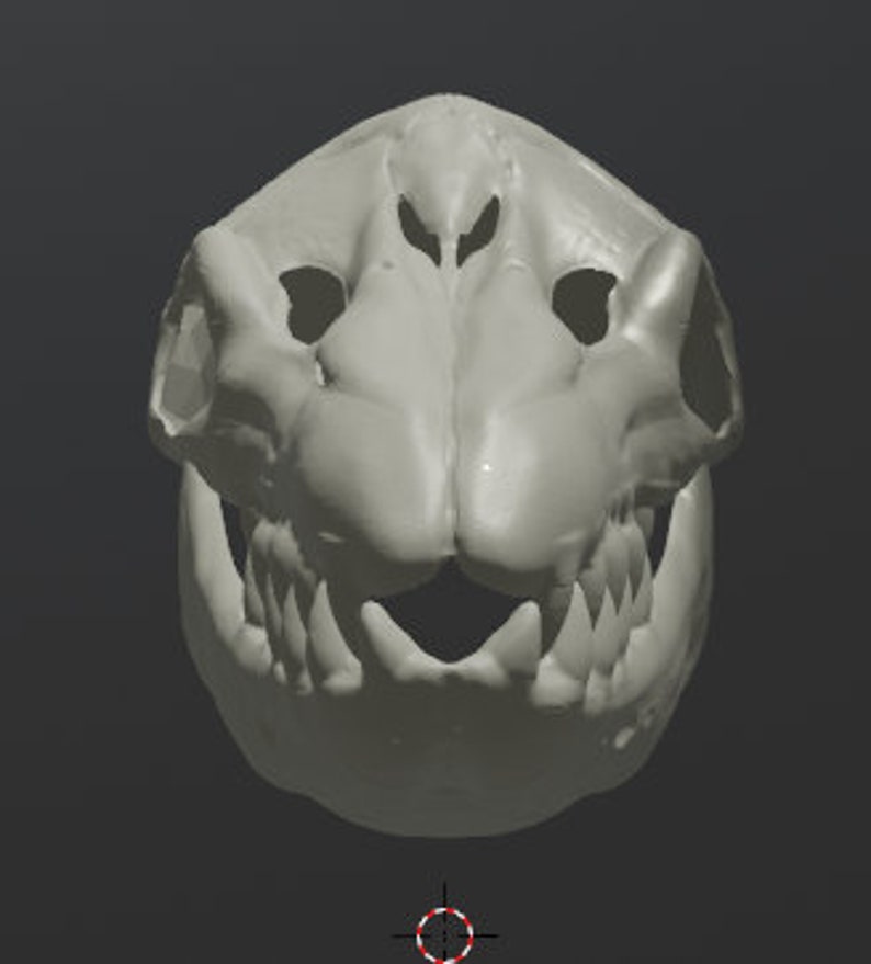 Orca Skull Mask .STL Files for 3D Printing - Etsy