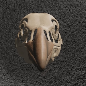 Crow Skull Mask .STL Files for 3D Printing - Etsy
