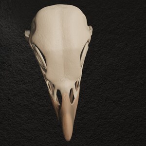 Crow Skull Mask .STL Files for 3D Printing - Etsy