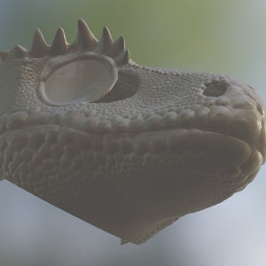 Crested Gecko Mask .STL Files for 3D Printing - Etsy