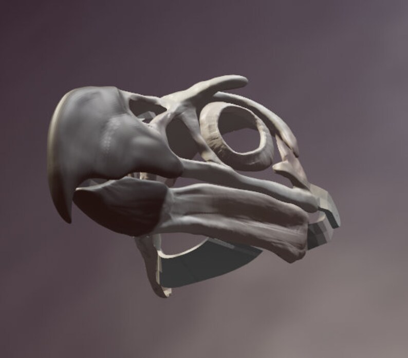 Eagle Skull Mask V3 .STL Files for 3D Printing - Etsy