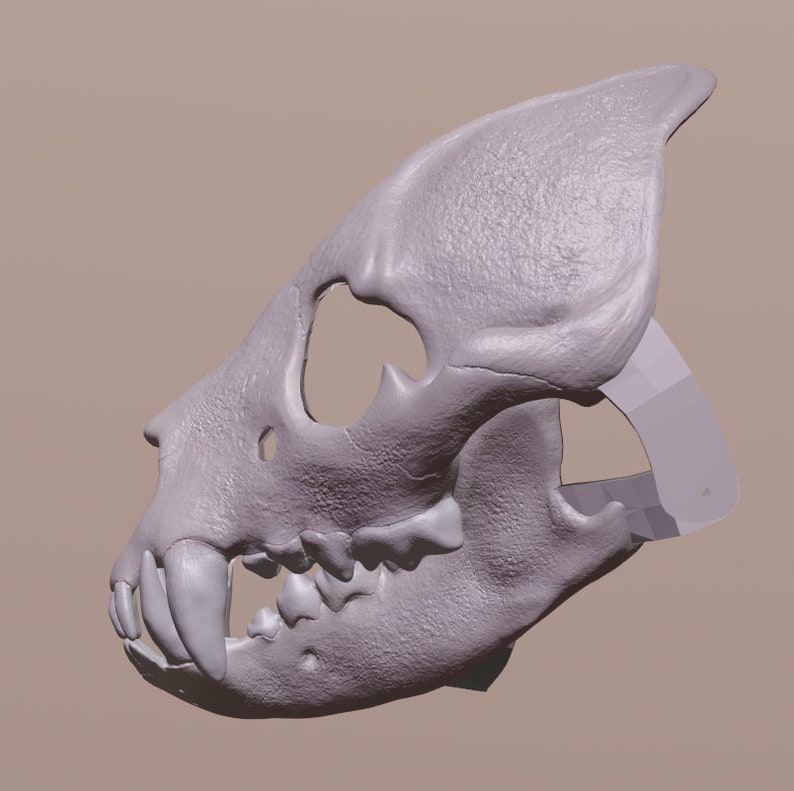 Hyena Skull Mask .STL Files for 3D Printing - Etsy