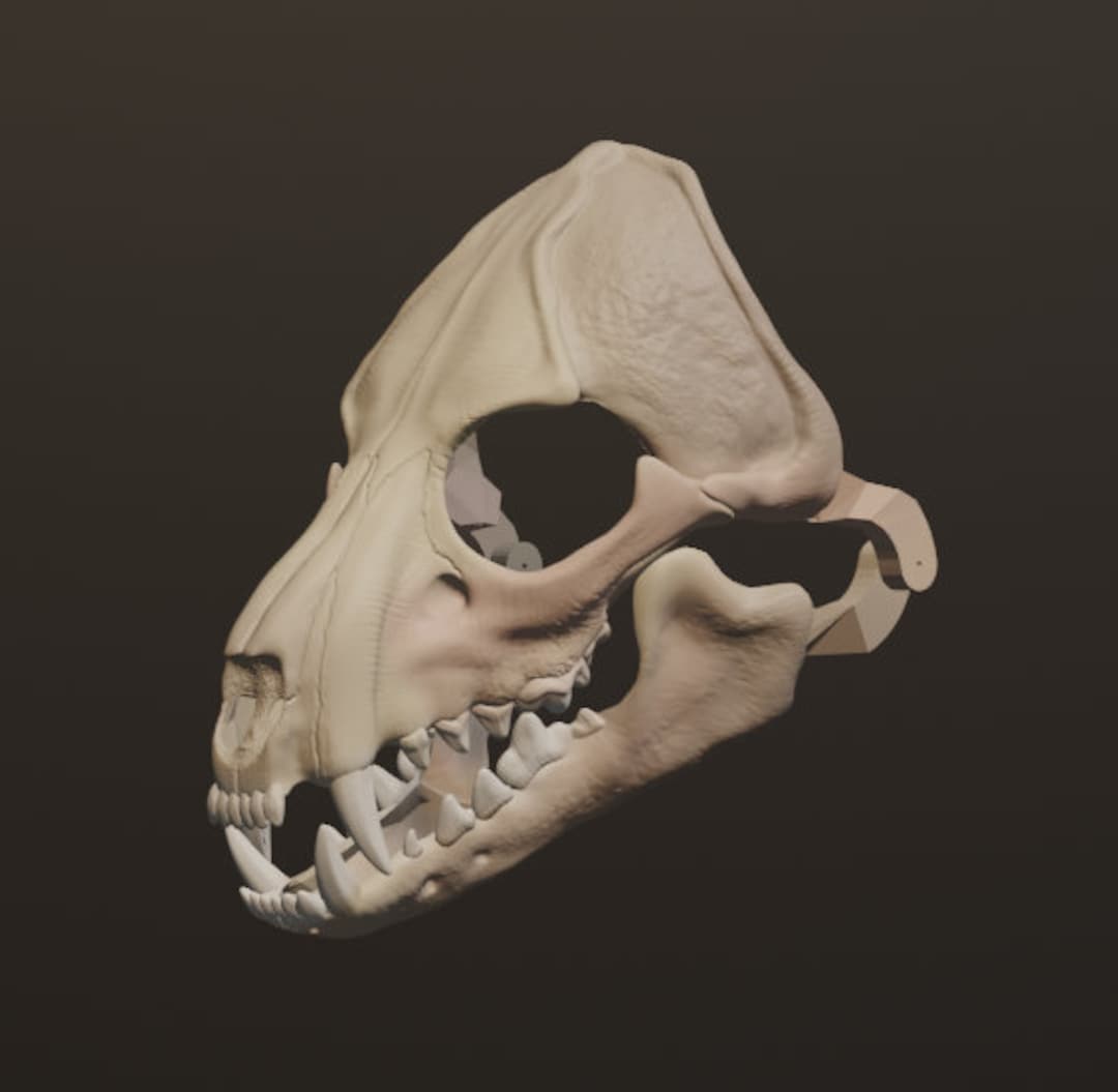 Fox Skull Mask Stl Files For 3d Printing Etsy