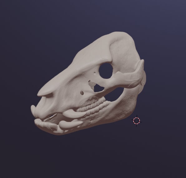 Boar Skull Mask .stl Files for 3D Printing - Etsy