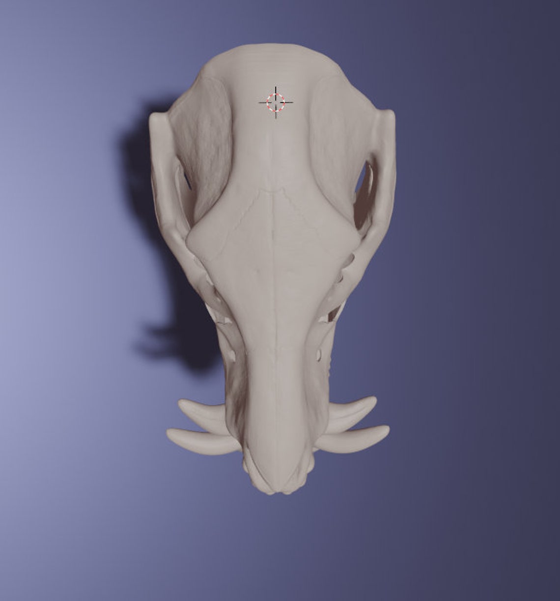 Boar Skull Mask .stl Files for 3D Printing - Etsy