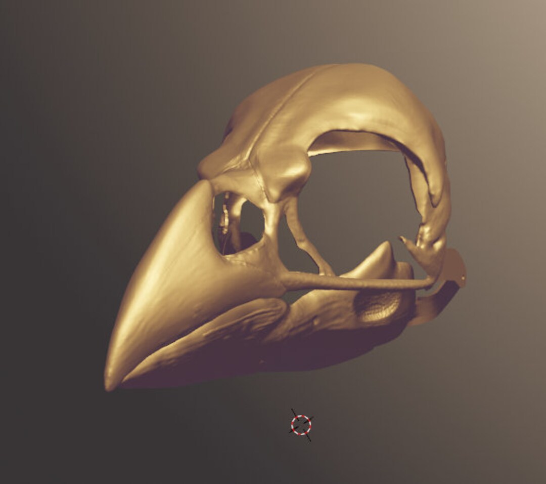 Sparrow Skull Mask .STL Files for 3D Printing - Etsy