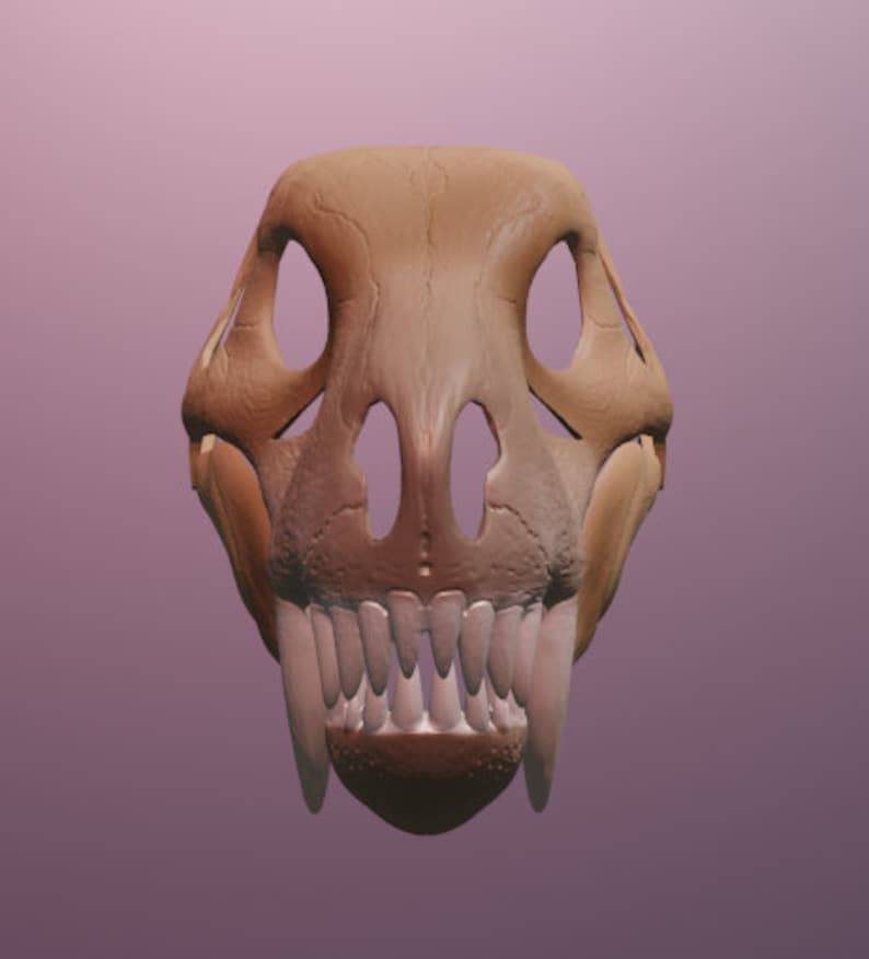 Inostrancevia Skull Mask .STL Files for 3D Printing - Etsy Hong Kong