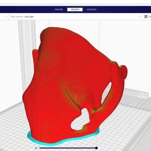 Boar Skull Mask .stl Files for 3D Printing - Etsy