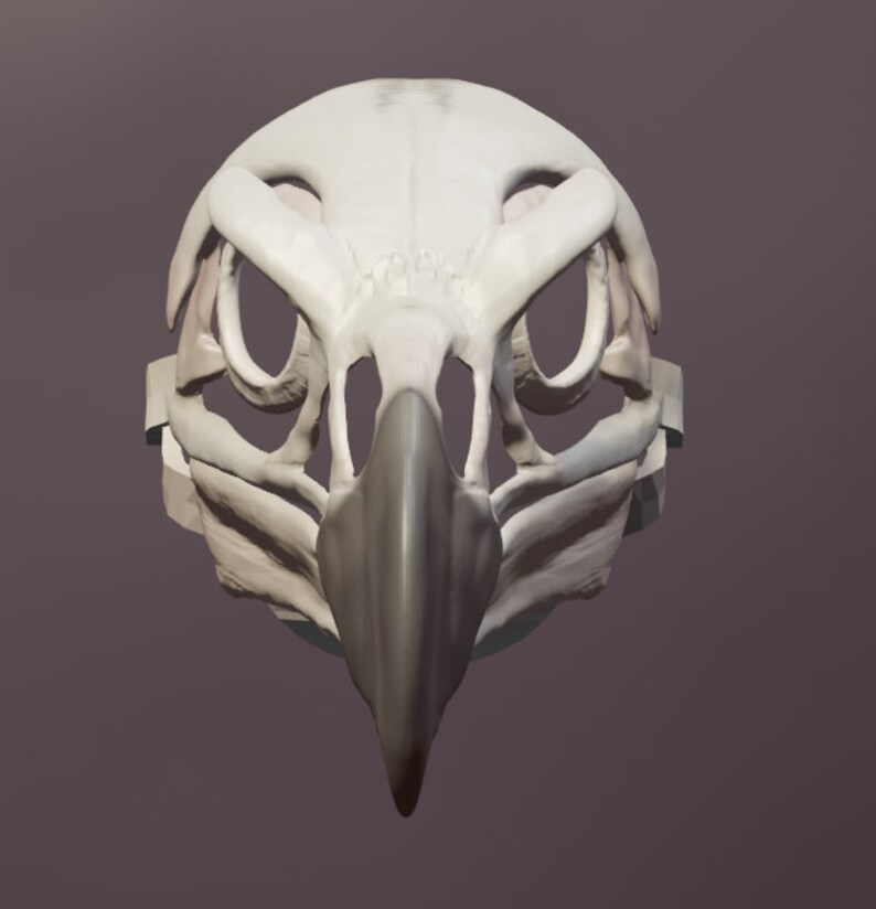 Eagle Skull Mask V3 .STL Files for 3D Printing - Etsy