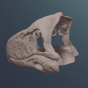Terror Bird Skull Mask .stl Files for 3D Printing - Etsy