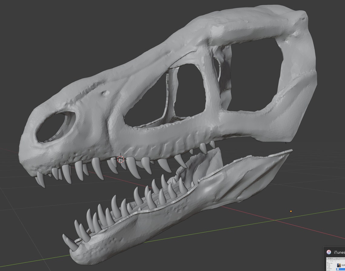 Raptor Skull mask 3d model files | Etsy