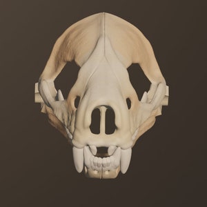 Brown Bat Skull Mask .STL Files for 3D Printing - Etsy