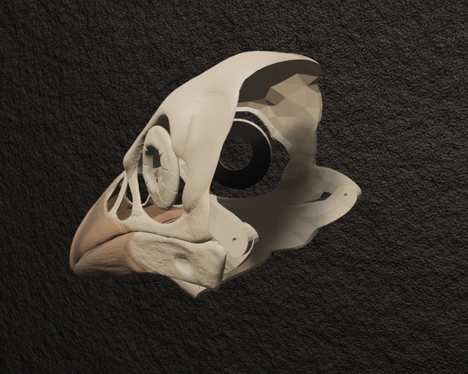Crow Skull Mask .STL Files for 3D Printing - Etsy