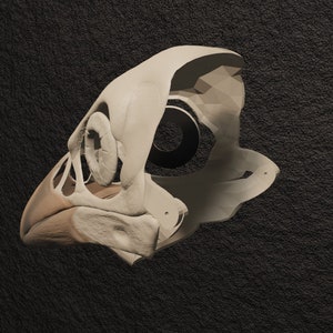 Crow Skull Mask .STL Files for 3D Printing - Etsy