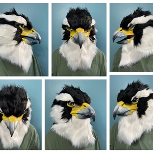 Realistic Aplomado Falcon Fursuit Head - Etsy