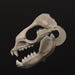 Leopard Seal Skull Mask .STL Files for 3D Printing - Etsy