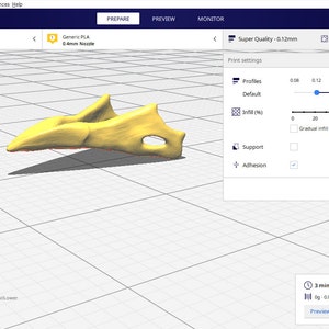 House Sparrow Replica Skull .STL Files for 3D Printing - Etsy