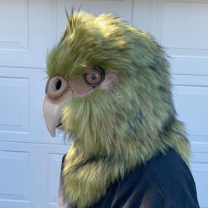 Realistic Night Parrot Fursuit Head - Etsy