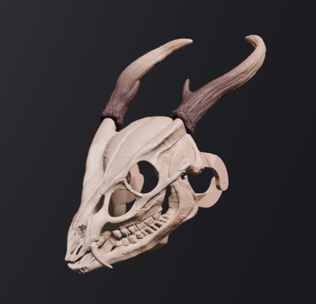 Muntjac Skull Mask .STL Files for 3D Printing - Etsy