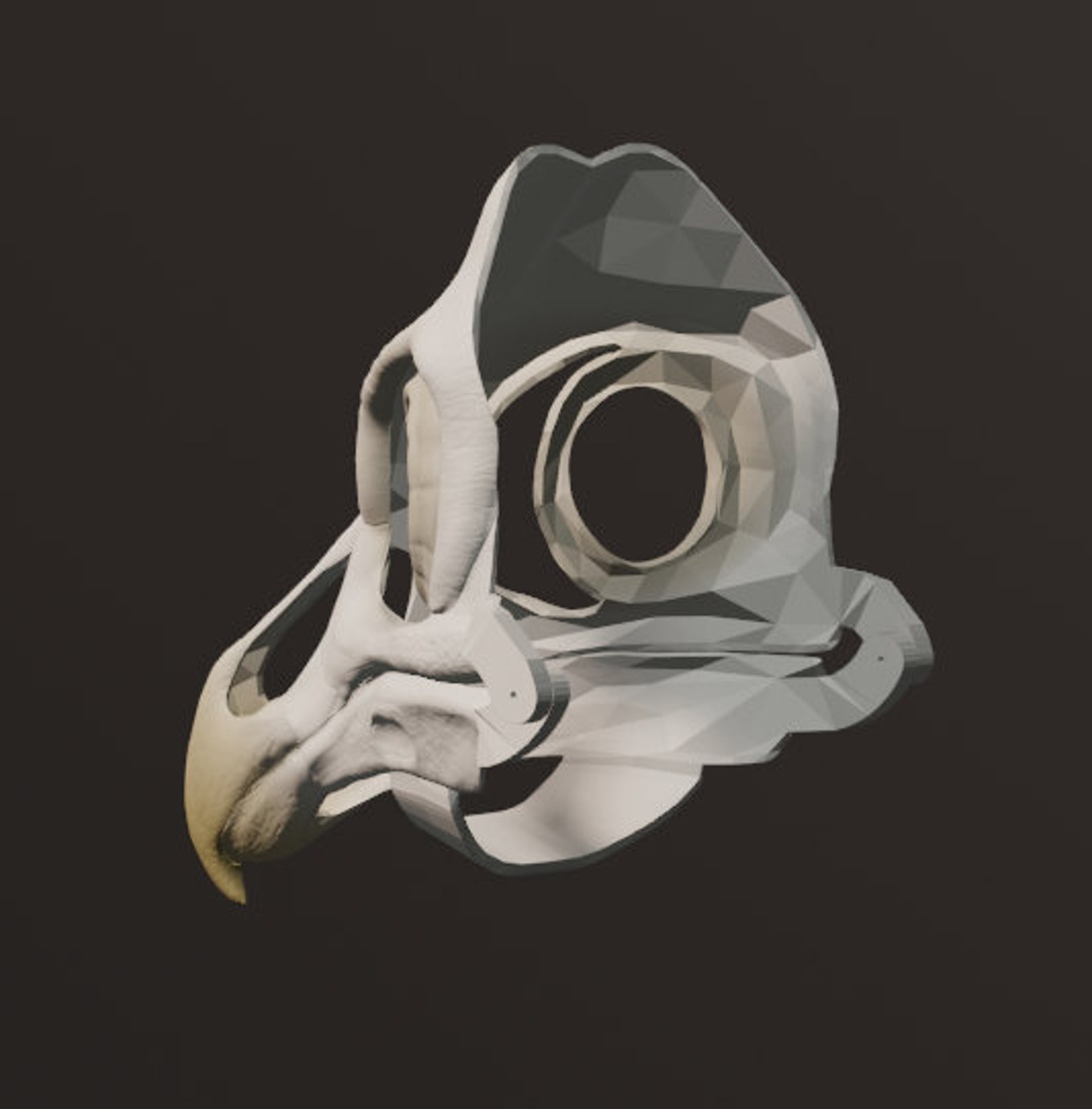 Barn Owl Skull Mask .STL Files for 3D Printing - Etsy
