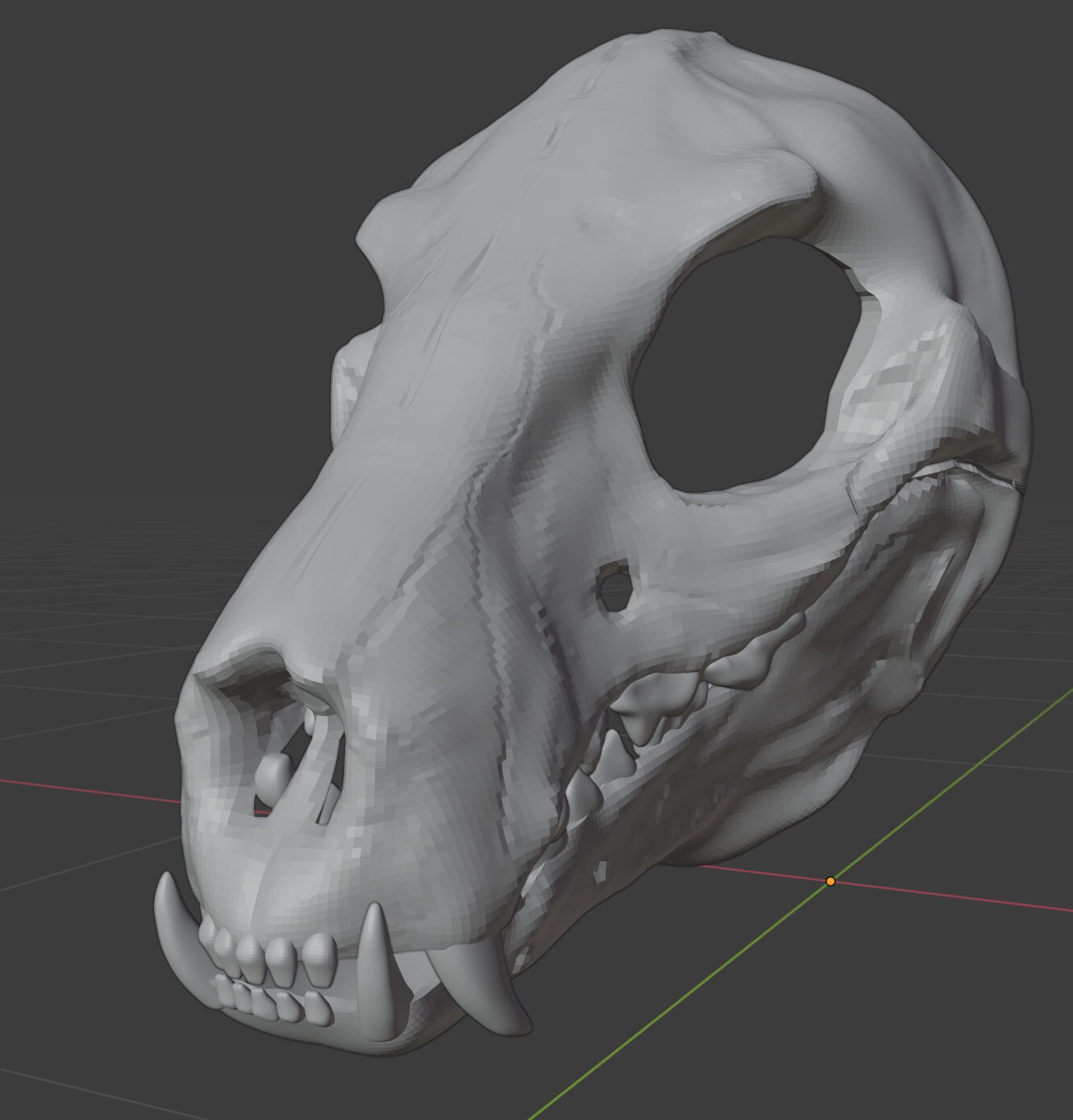 Jackal Skull 3D Model Files | Etsy