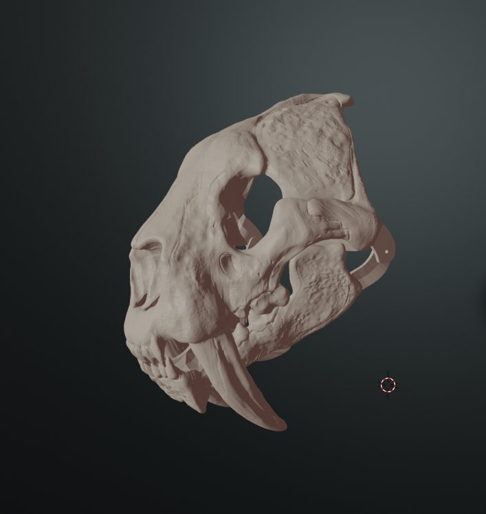 Smilodon Skull V2 Mask .stl Files for 3D Printing - Etsy Sweden