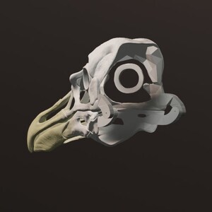 Seagull Skull Mask .STL Files for 3D Printing - Etsy Australia