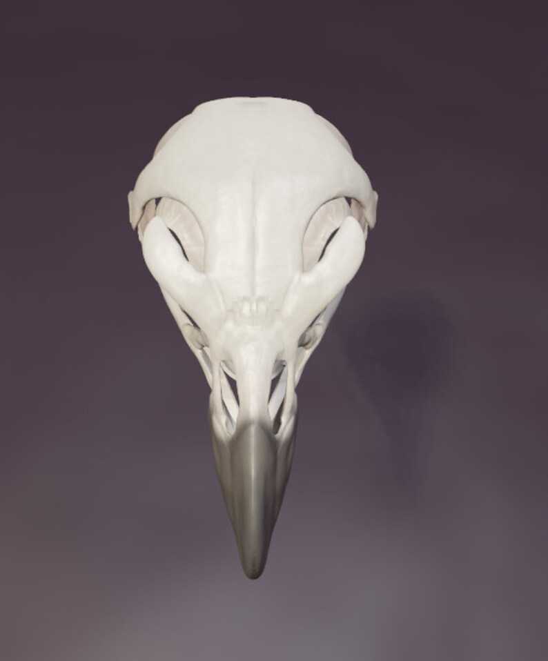Eagle Skull Mask V3 .STL Files for 3D Printing - Etsy