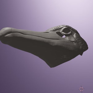 Pelican Mask .STL Files for 3D Printing - Etsy