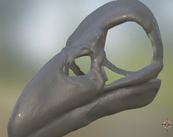 Raven Mask .STL Files for 3D Printing | Etsy