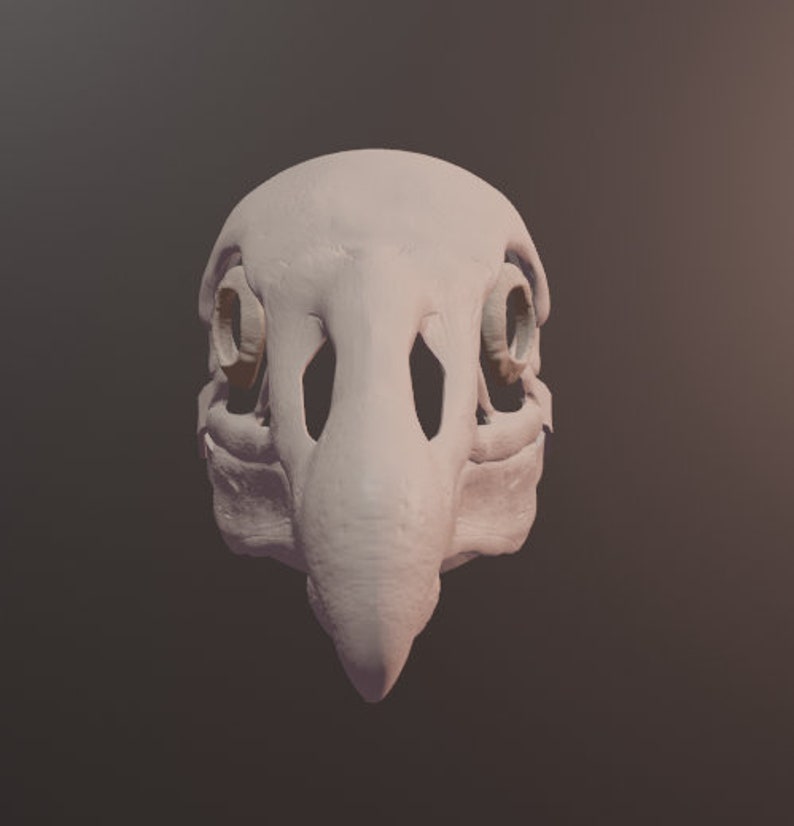 Condor Skull Mask .STL Files for 3D Printing - Etsy