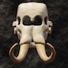 Mammoth Skull Mask .STL Files for 3D Printing - Etsy