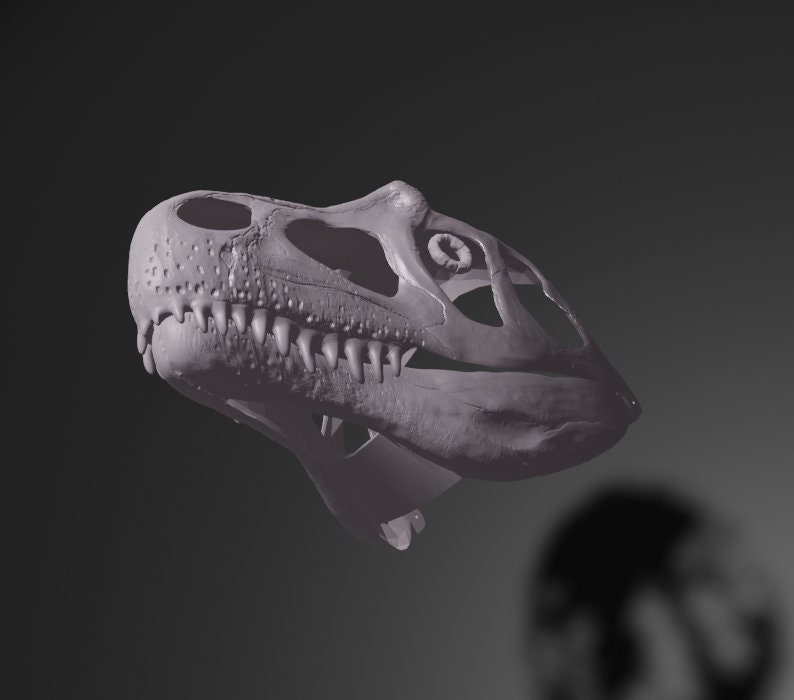 Allosaurus Skull Mask .STL Files for 3D Printing - Etsy