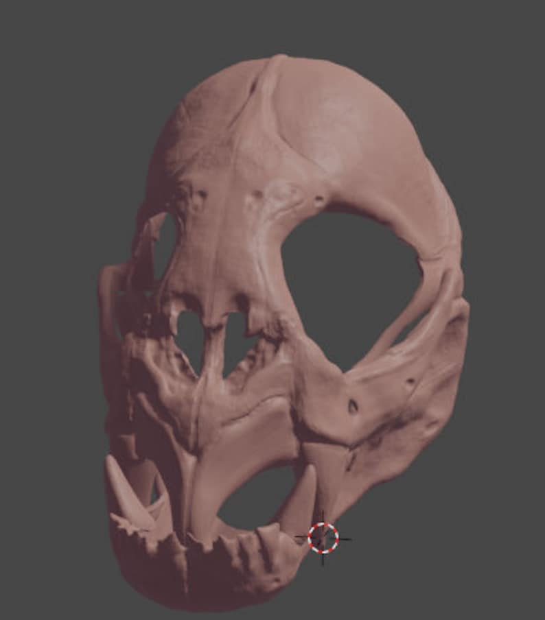 Vampire Bat Skull Mask .STL Files for 3D Printing | Etsy