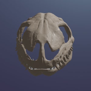 Ball Python Skull Mask .STL Files - Etsy
