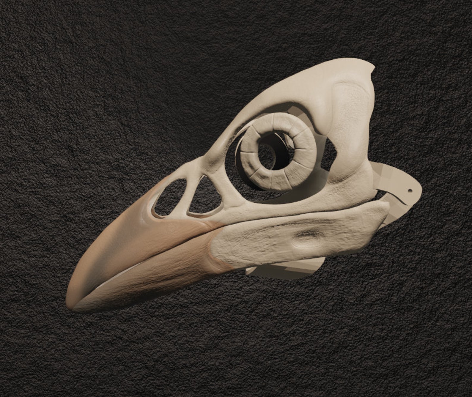 Crow Skull Mask .STL Files for 3D Printing - Etsy